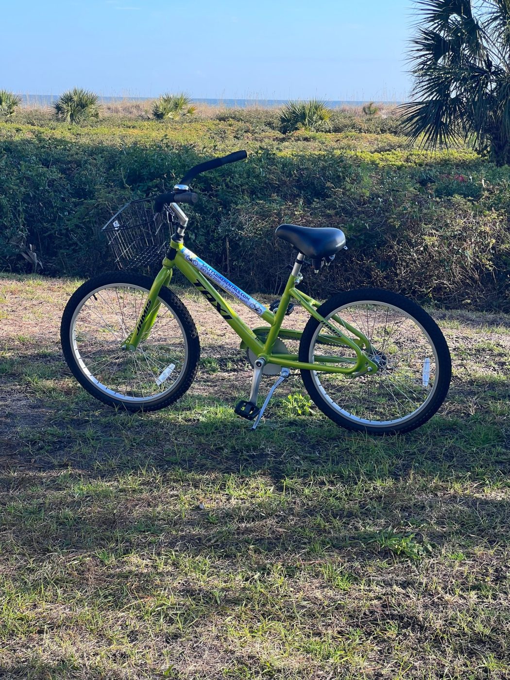 24” Youth And 16″ Kids Beach Cruiser | Salty’s Bike And Beach Rental